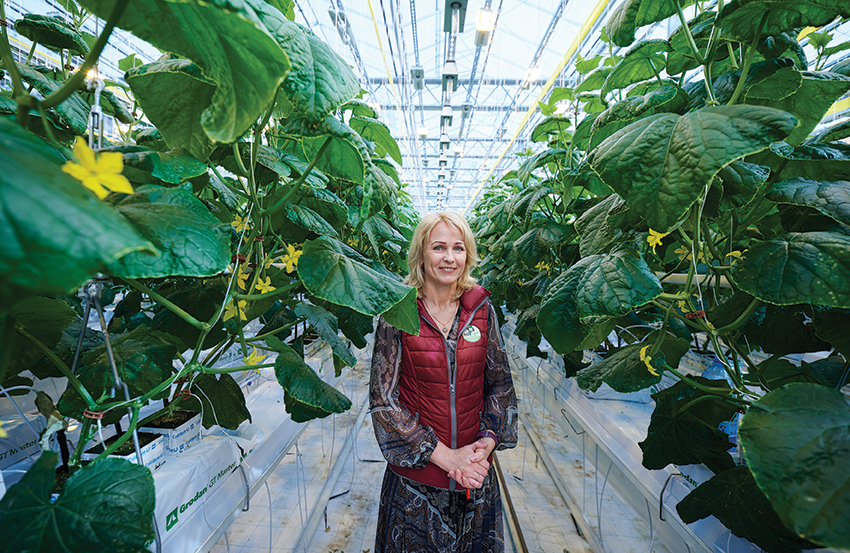 Starp plānotāju un gurķu rindām