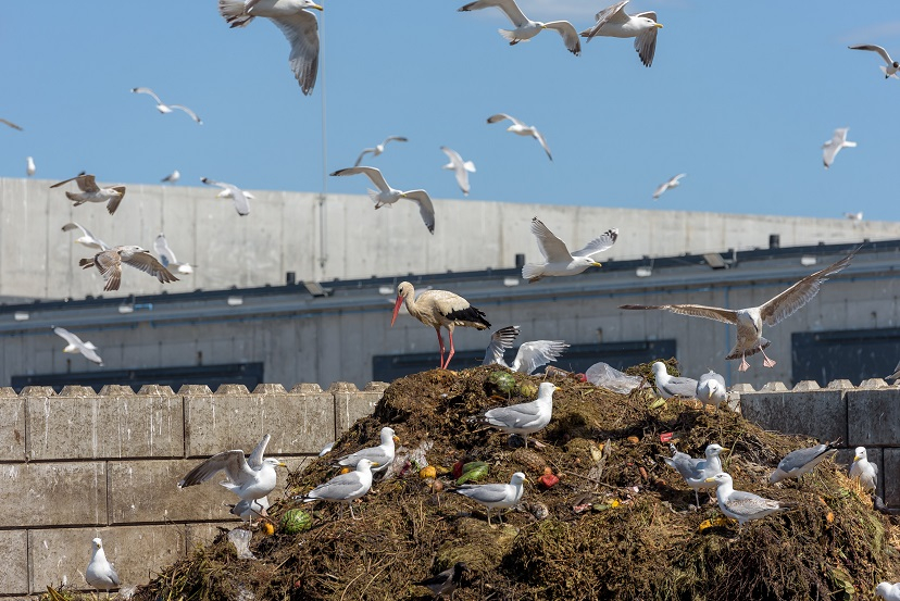 BIO atkritumi – mēsli vai resurss?